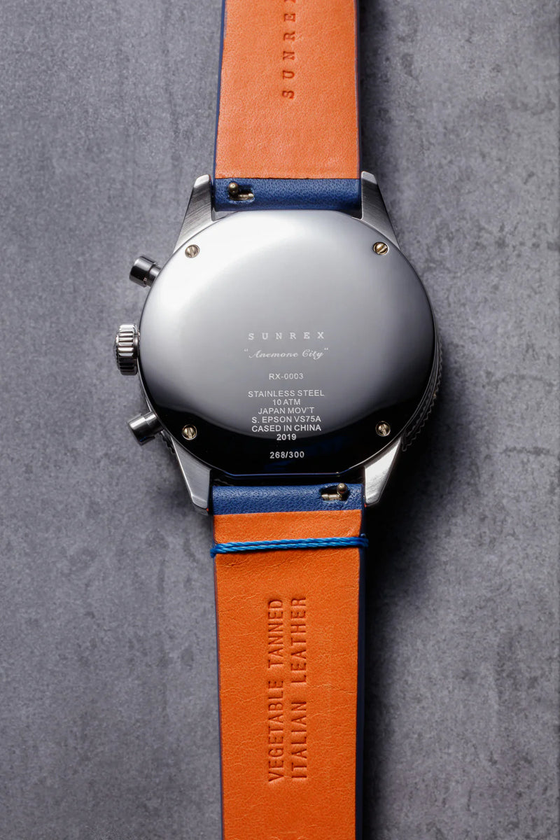 Sunrex ANEMONE CITY – Stitches and Buckles